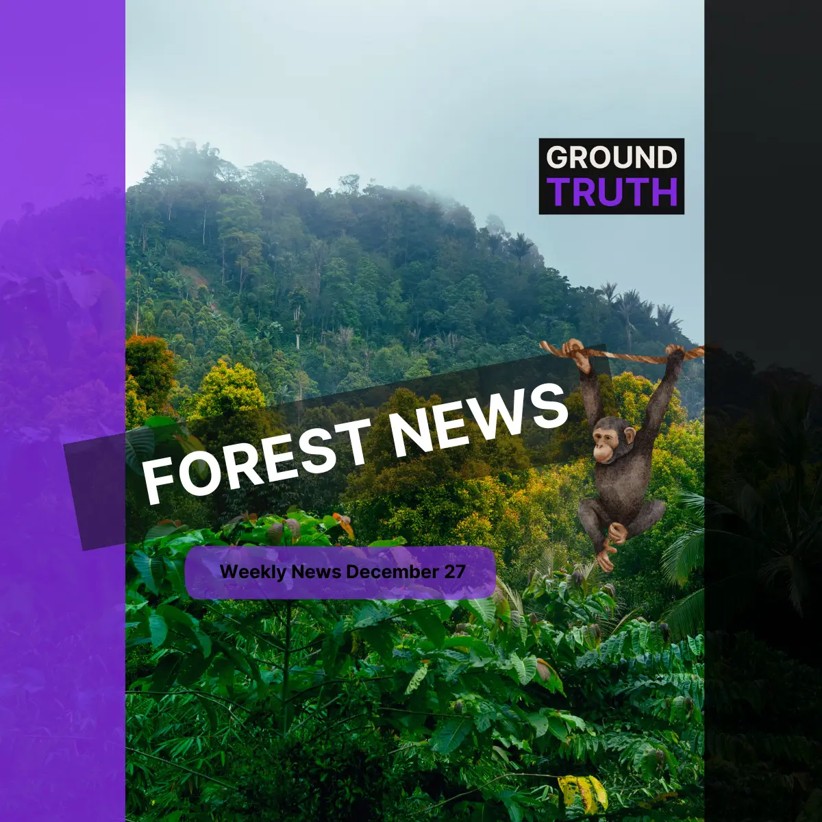 Ground Truth Weekly Forest News December 27